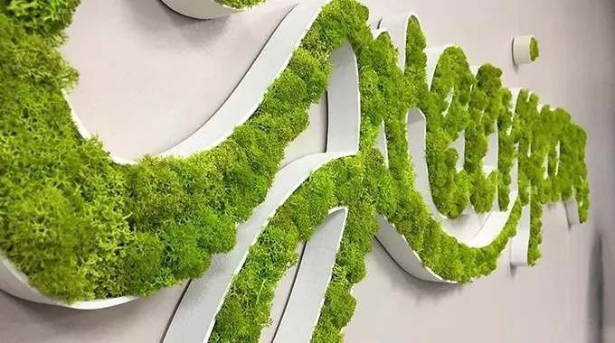 Creative Ideas For Indoor Moss Walls – Flipping Heck!