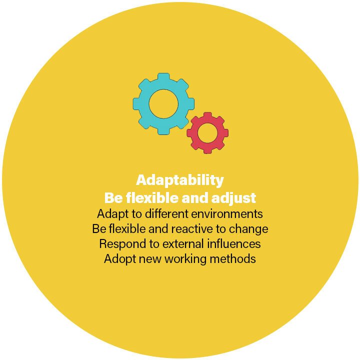 Soft Skills You Can Apply To Any Role In The Business Sector – Flipping ...